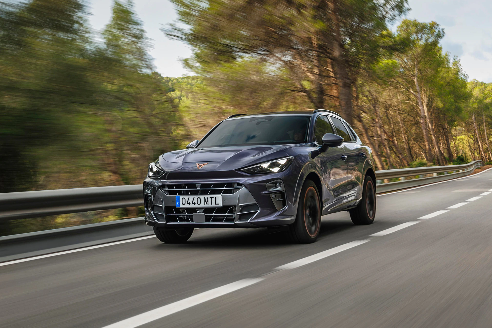 CUPRA Assistance